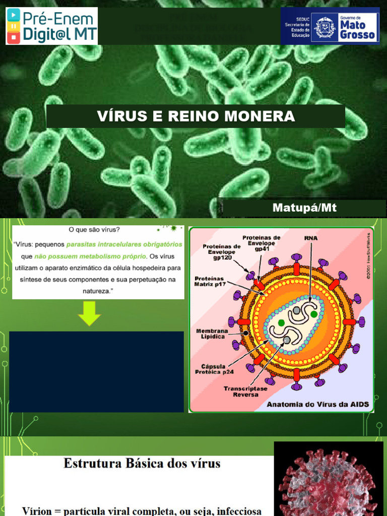 Reino Monera(1) | PDF | Bactérias | Célula (Biologia)