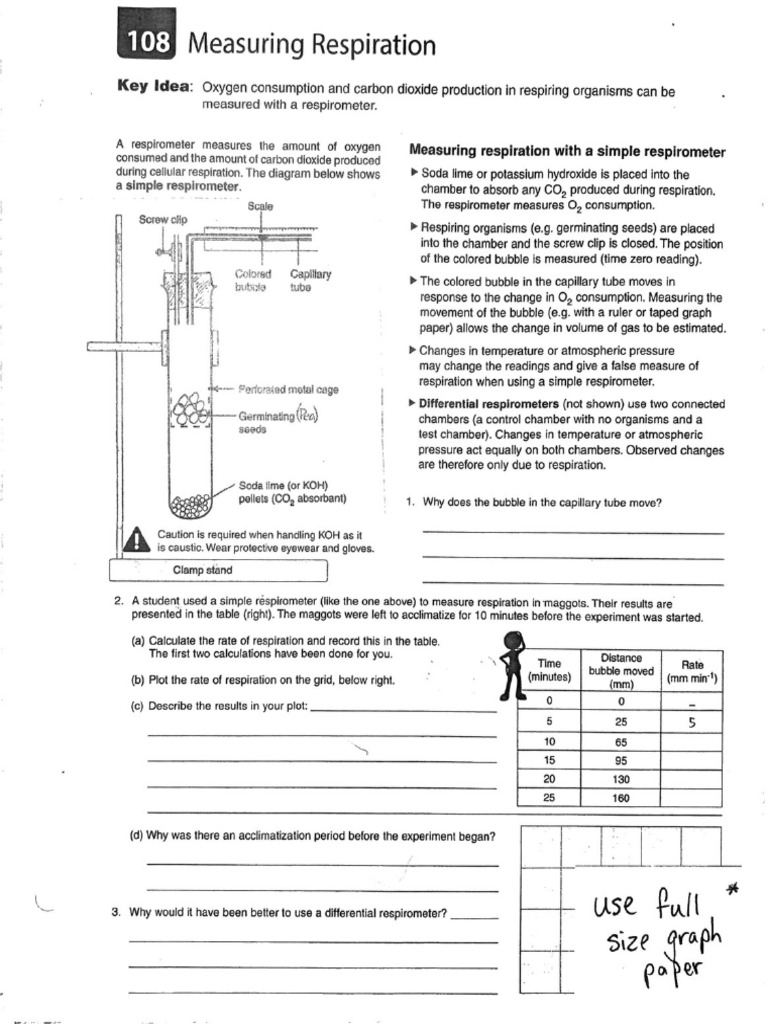 Measuring Respiration with Respirometers | PDF | Carbon Dioxide ...