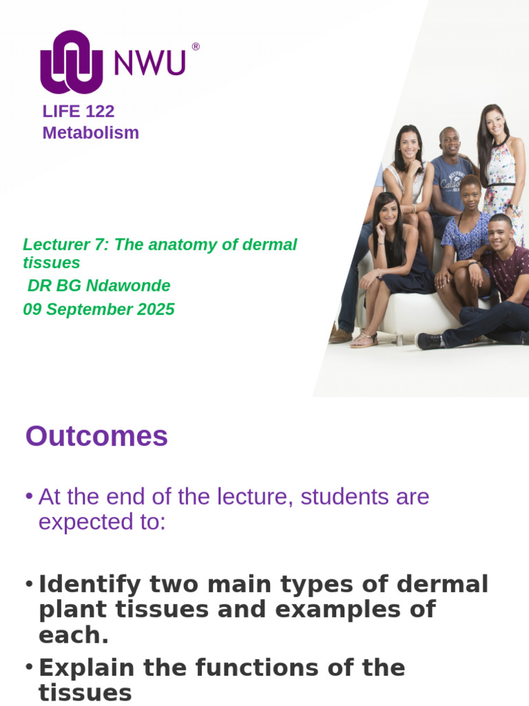 Lecture 7 - Plant Dermal Tissues | PDF
