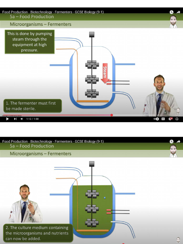 MR Exham Explains Fermentation | PDF