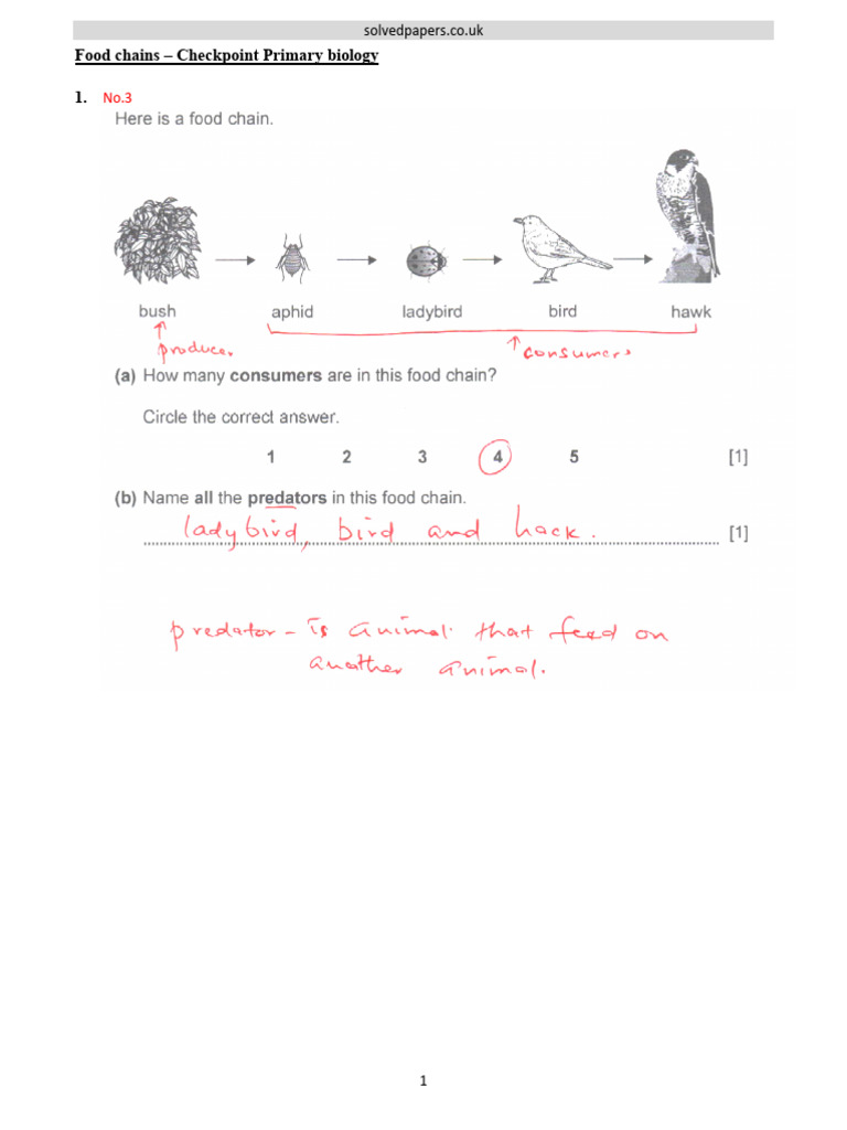 sample-Food-chains82541546022-checkpoint-primary-biology_solved (1) | PDF
