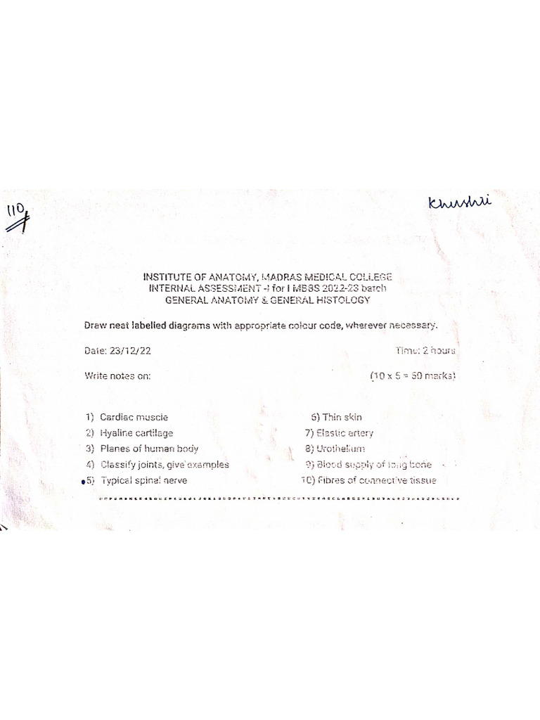 Anatomy IA Papers | PDF