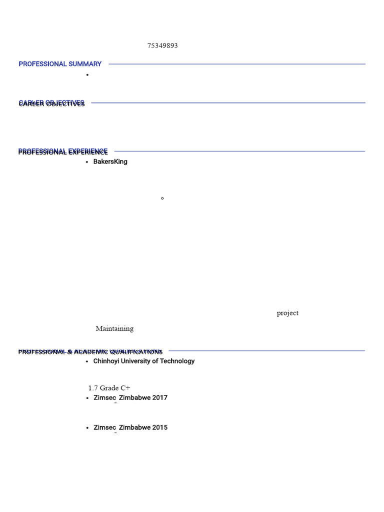 Bongani Sekeso CV 23 | PDF