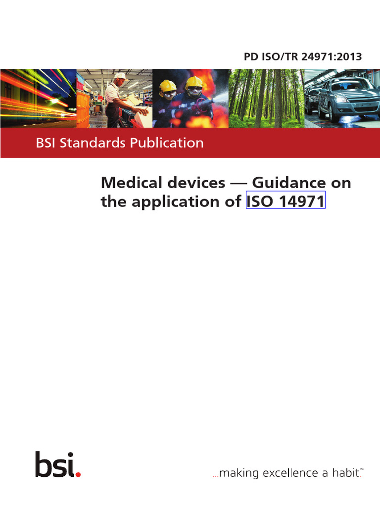 Guidance on ISO 14971 for Medical Devices | PDF | Risk Management ...