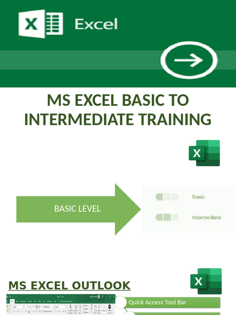 Excel Training: Basics to Intermediate | PDF