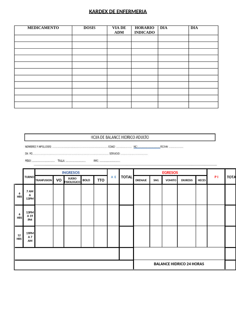 Kardex de Enfermeria y BH Formato | PDF