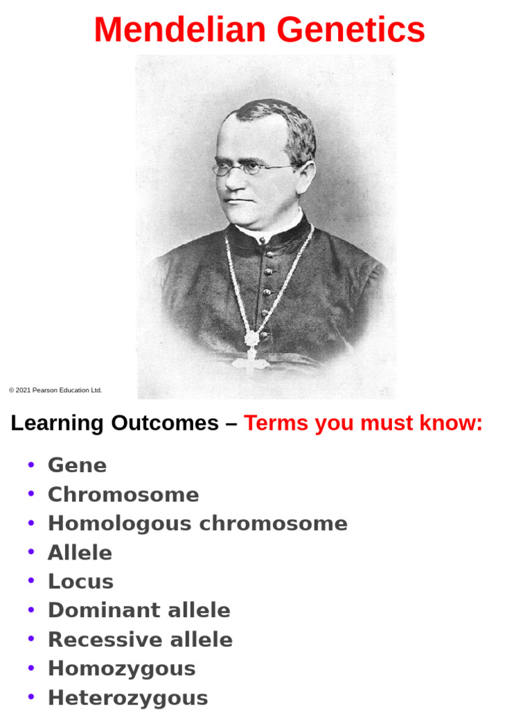 10 Mendelian Genetics I - SV | PDF | Dominance (Genetics) | Zygosity