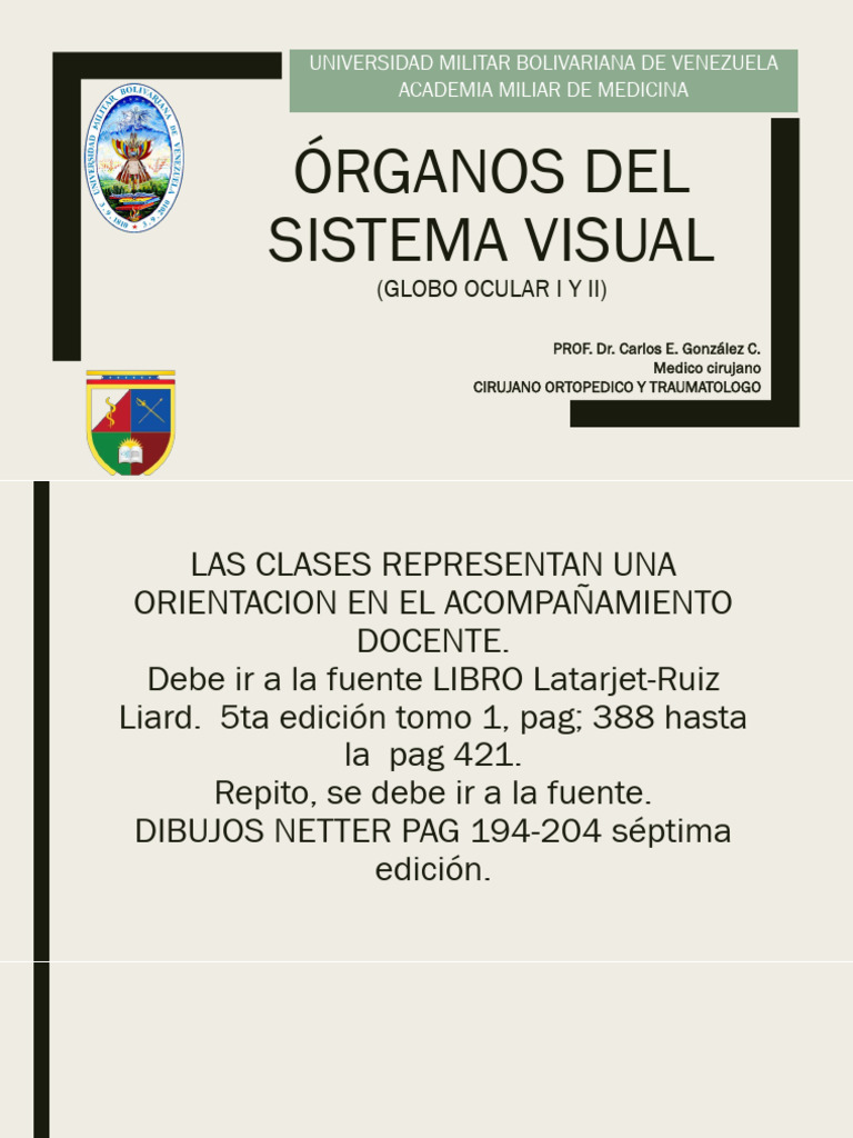 Anatomía del Globo Ocular y Órbita | PDF | Percepción visual | Ojo