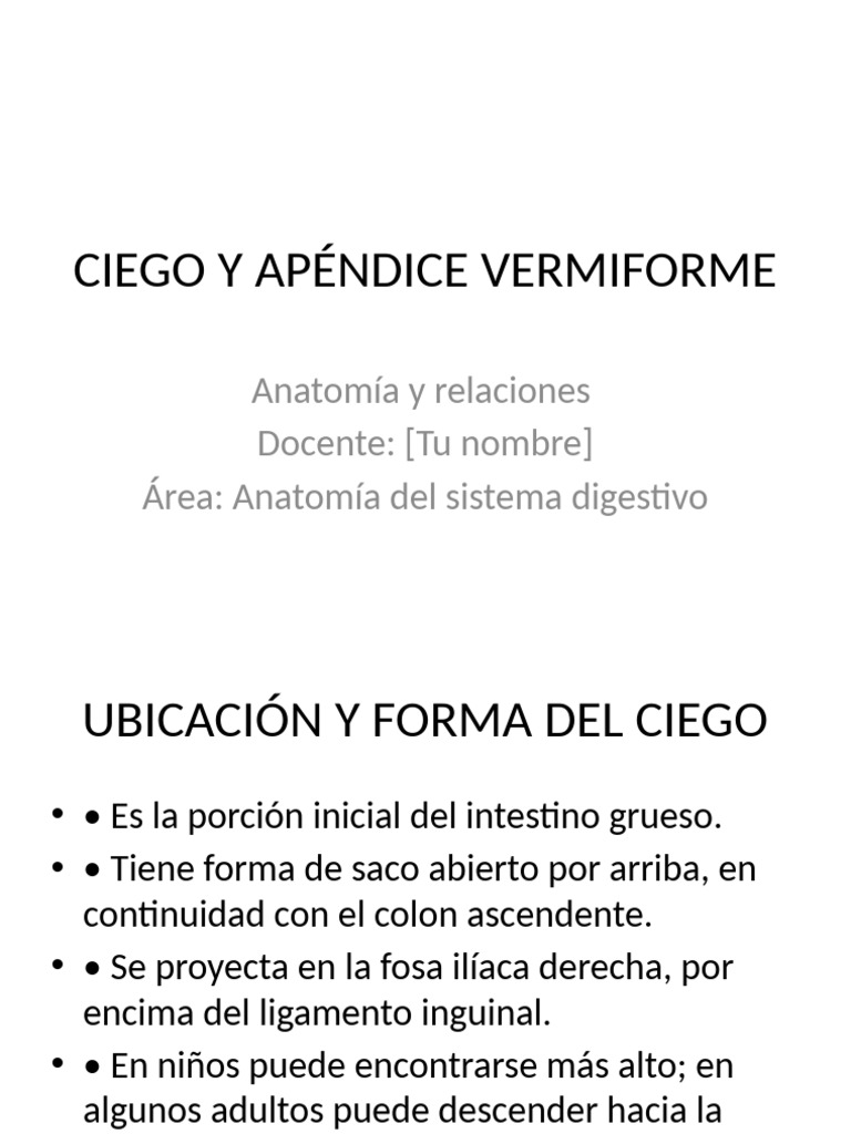 Ciego y Apendice Vermiforme Presentacion | PDF | Intestino grueso ...