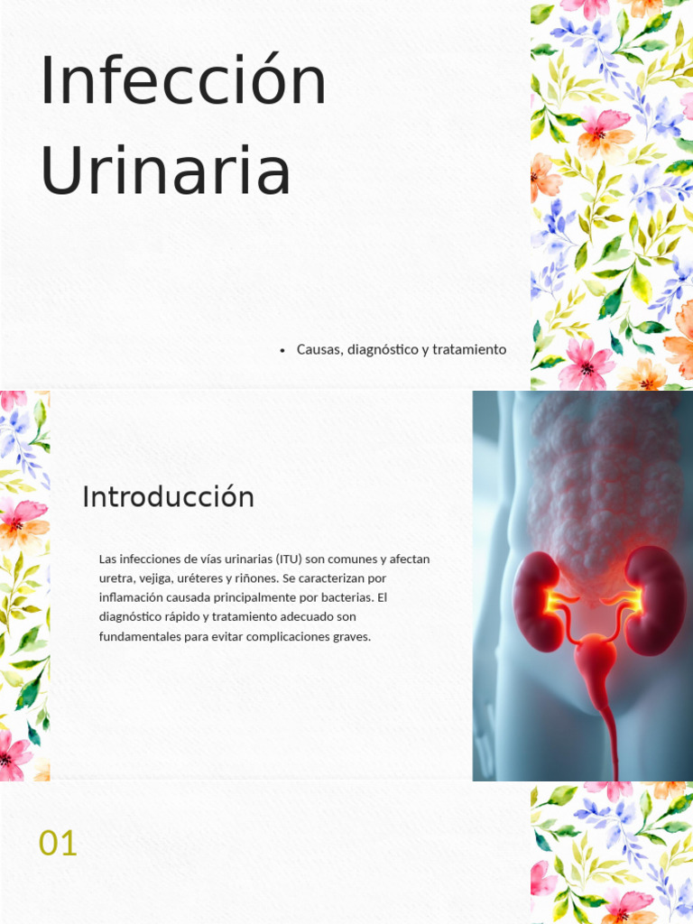 Infección Urinaria | PDF | Infección del tracto urinario | Medicina