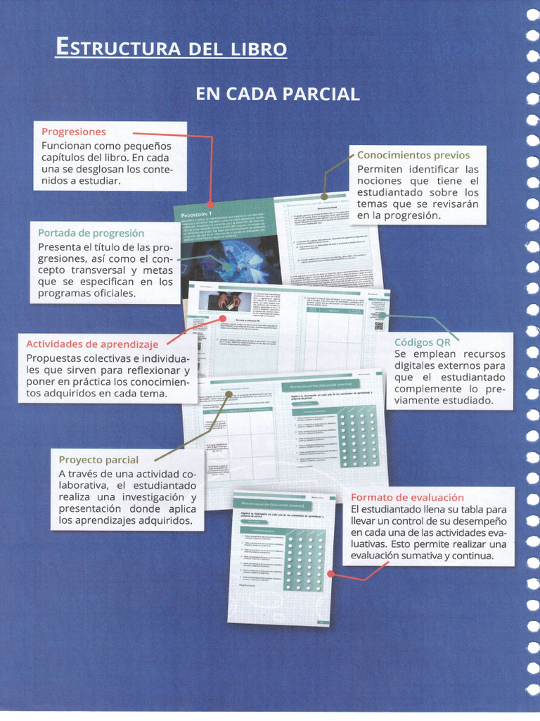 5 Estructura Del Libro | PDF