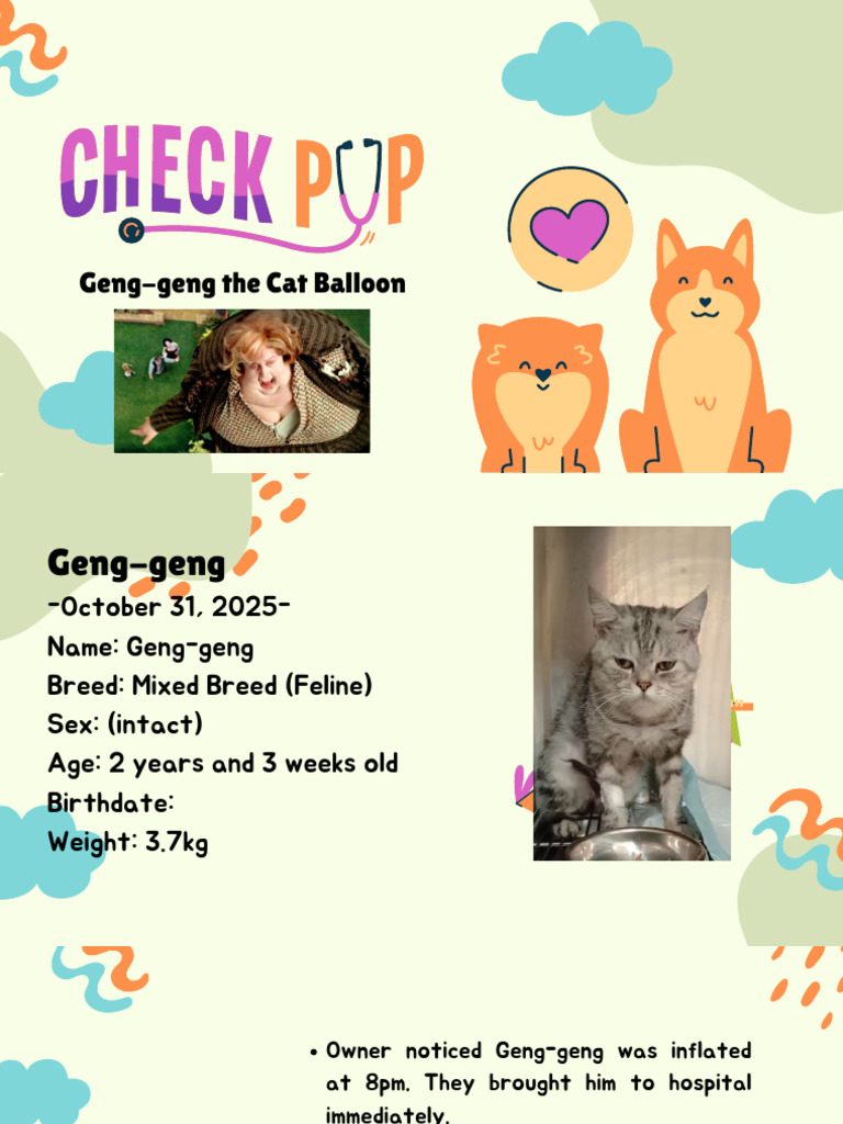 Geng-Geng The Cat Balloon | PDF | Medical Specialties | Clinical Medicine