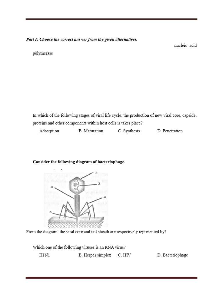 2018 e.c G-12 Biology, Work Sheet on Microorganism Part III | PDF ...