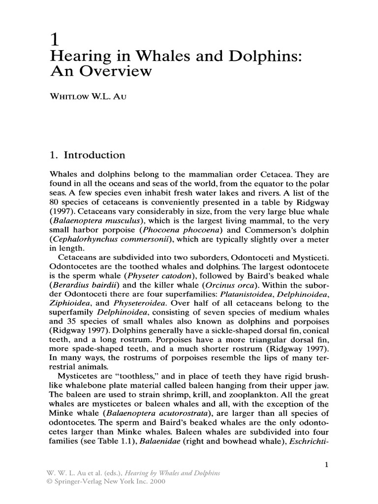 Whale and Dolphin Hearing Overview | PDF | Whales | Cetacea