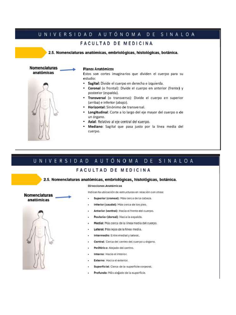 Terminología L29 | PDF