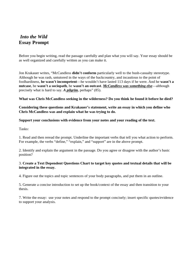 Into The Wild Writing Prompt | PDF