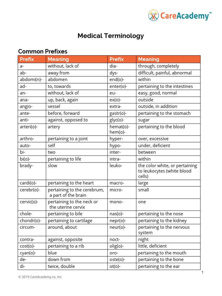 Medical Terminology Guide: Prefixes, Suffixes, Roots | PDF | Heart ...