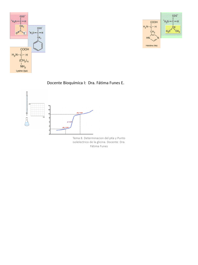 Tema 7. 25 Amino-Cidos. Determinaci-N de Pka y P.I | PDF | Constante de ...
