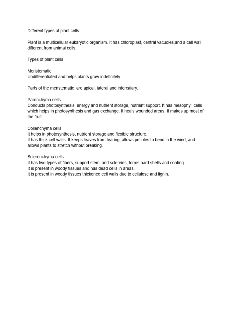 Types of Plant Cells Explained | PDF
