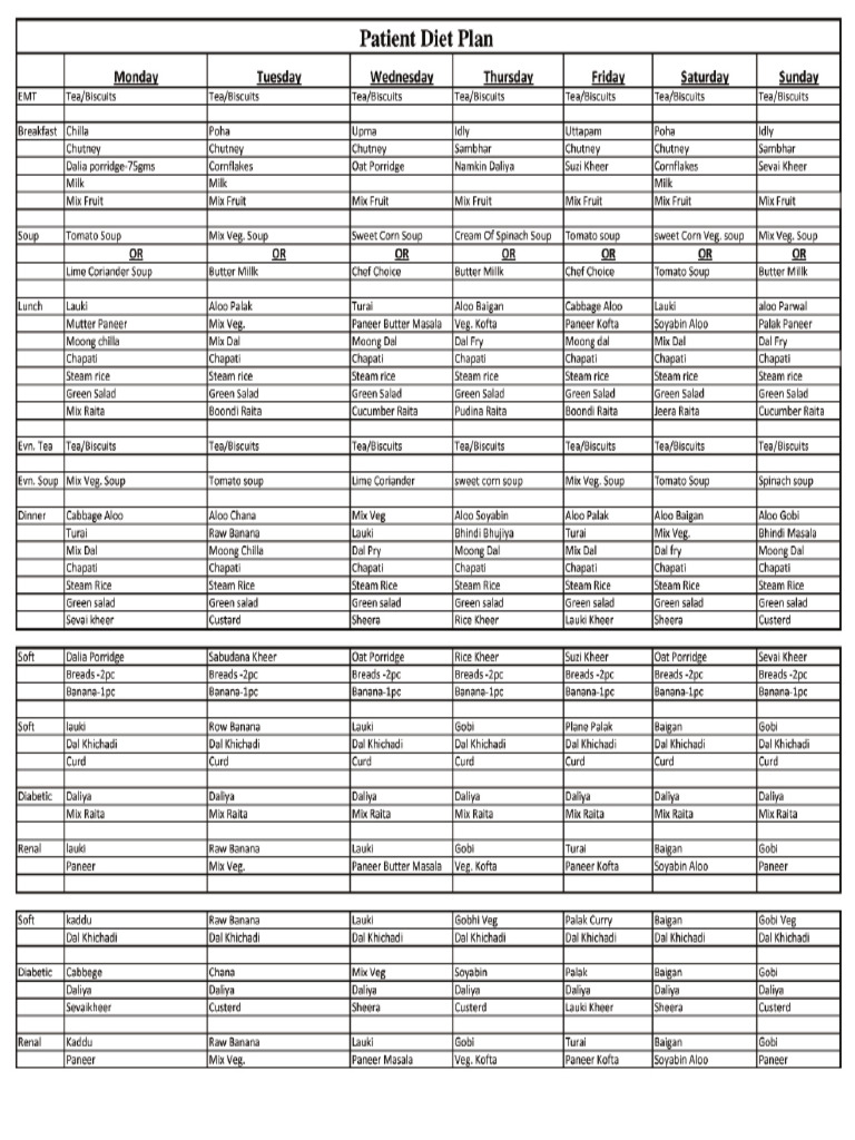 Patient Diet Plan | PDF
