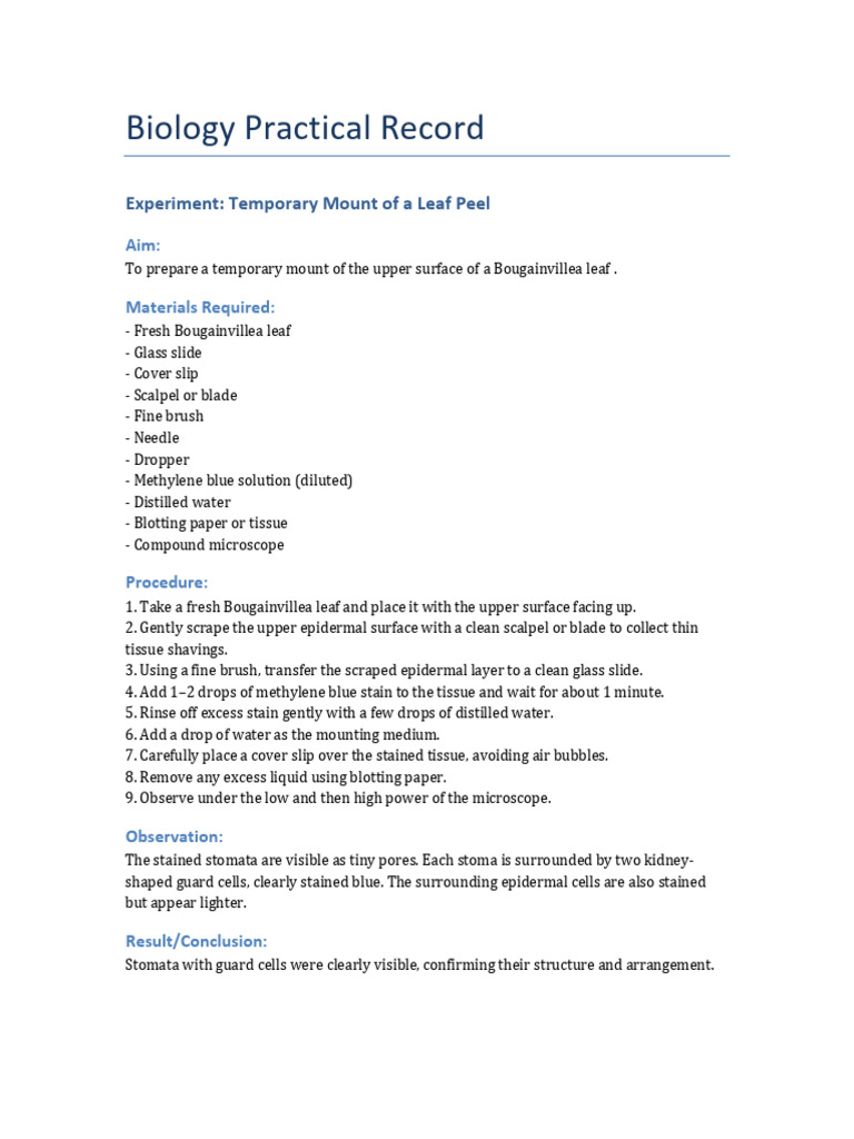 Biology Practical Leaf Mount Bougainvillea | PDF