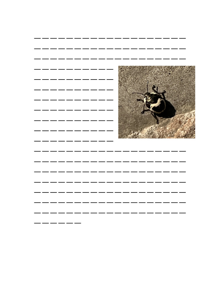 Cold Write作业1 | PDF