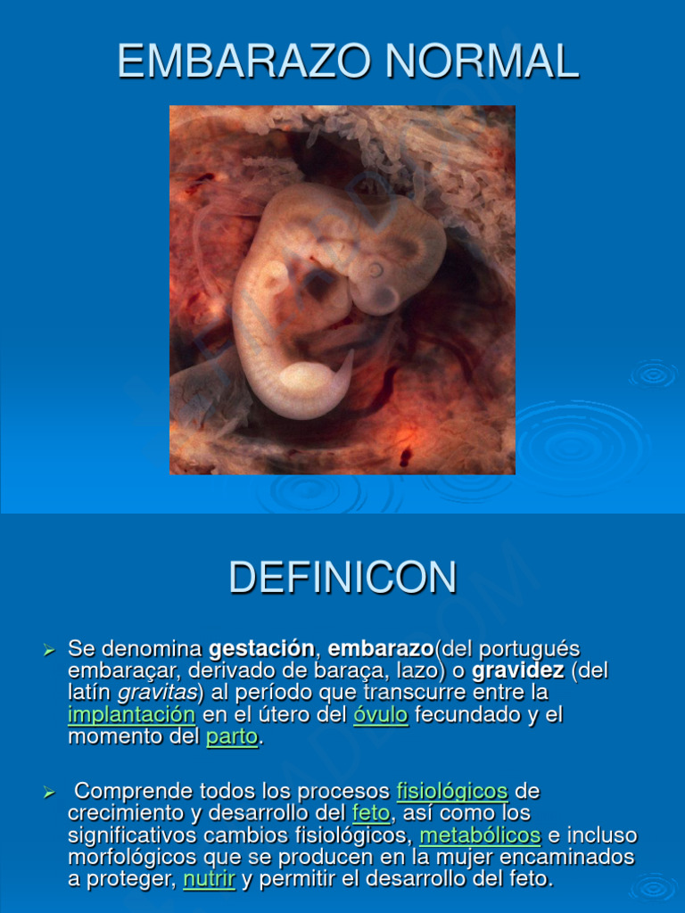 Guía Completa sobre el Embarazo Normal | PDF | El embarazo | Obstetricia