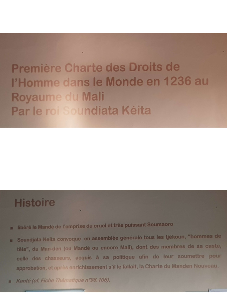 LA CHARTE DE MANDÉN | PDF