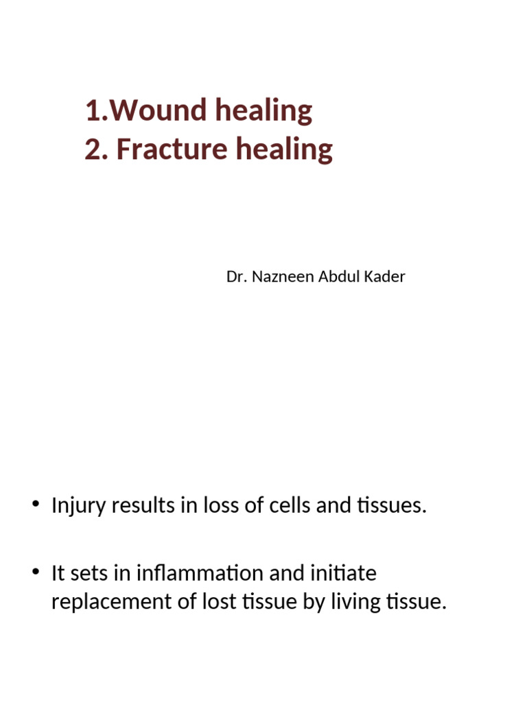 Wound and Fracture Healing Processes | PDF | Wound Healing | Bone