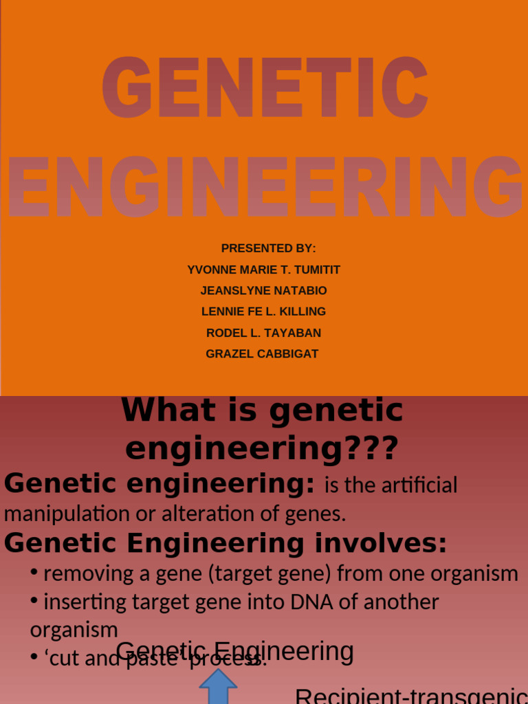 Genetic Engineering | PDF | Genetic Engineering | Genetically Modified ...