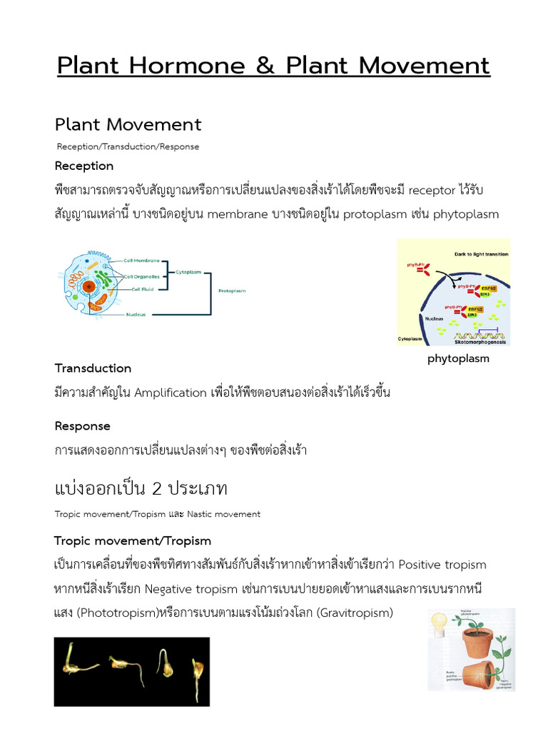 Hormone | PDF