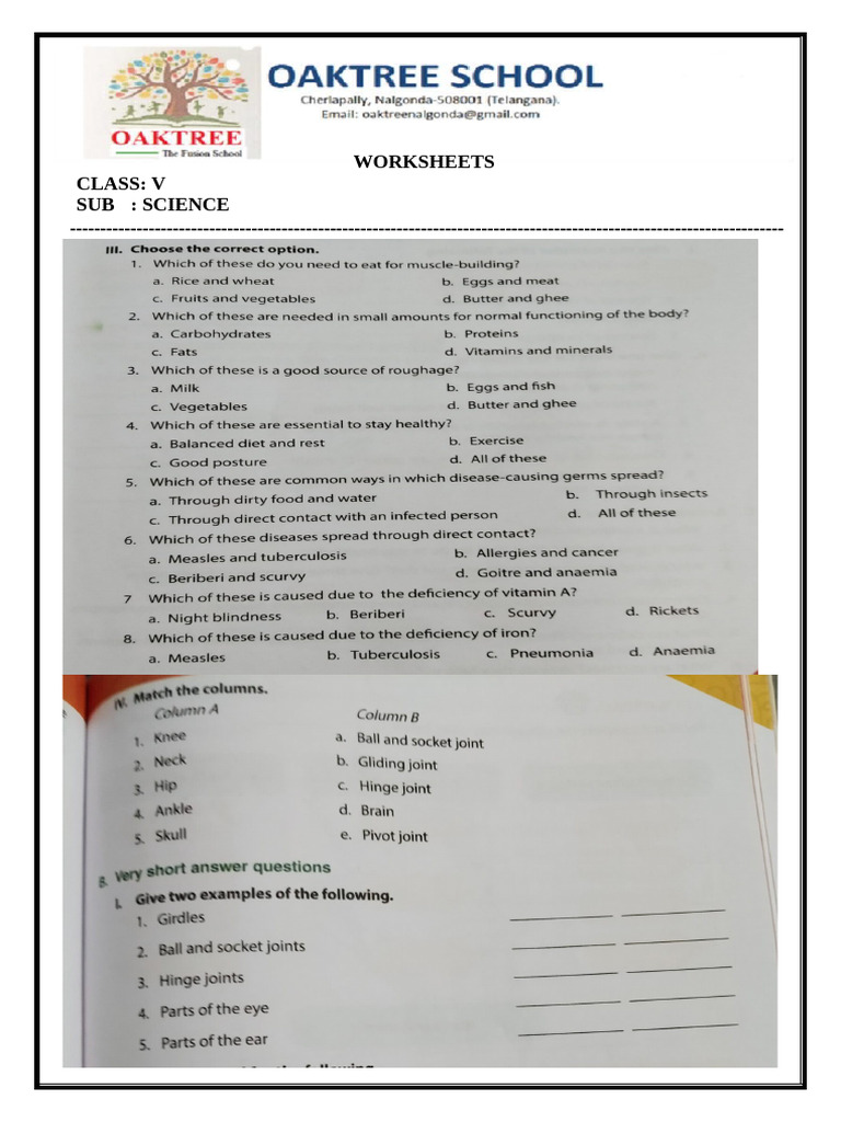 WORKSHEET 5th Class Science | PDF
