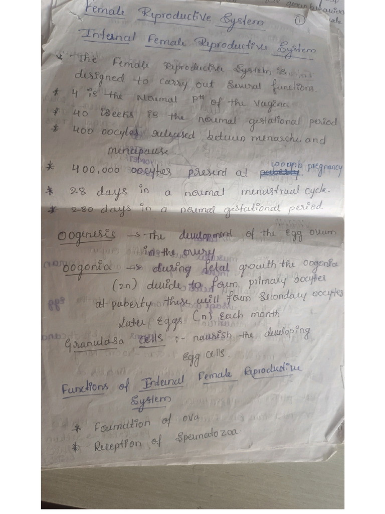 Reproductive System Notes | PDF