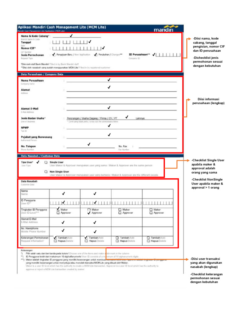 Cara Pengisian Form MCM Lite | PDF