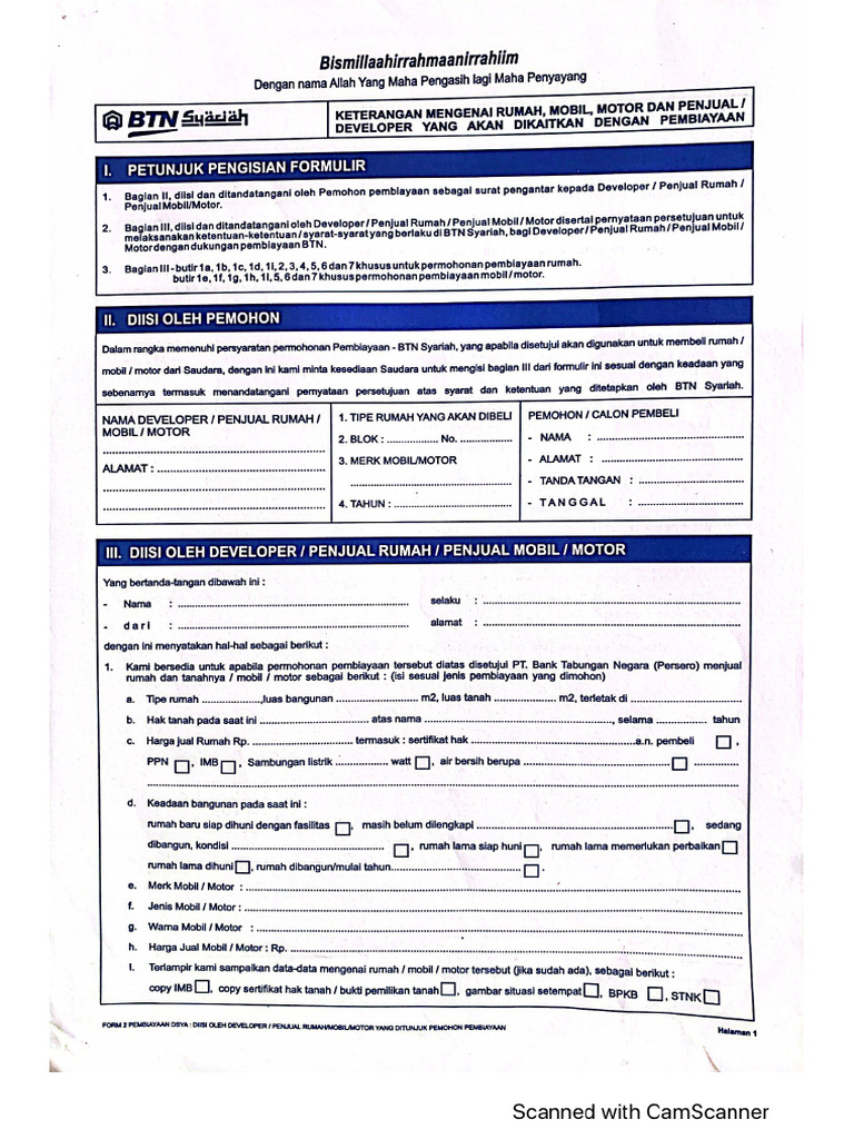 Form Dev BTNS | PDF