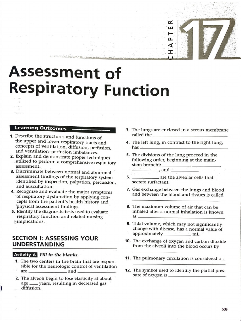Lung | PDF