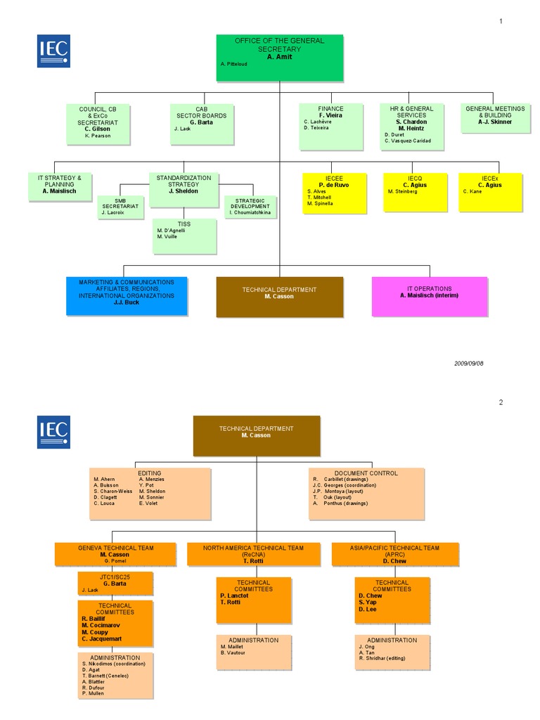 Iec Organization | PDF
