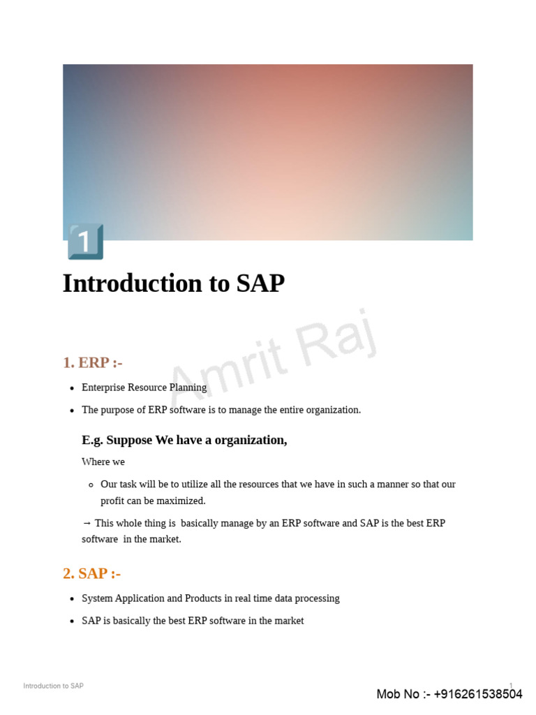 Introduction To SAP | PDF | Window (Computing) | Menu (Computing)