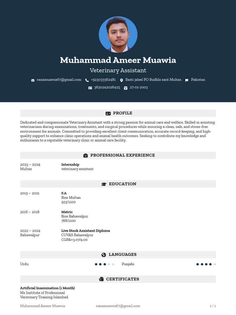 Muhammad Ameer Muawia FlowCV Resume 20251024 | PDF
