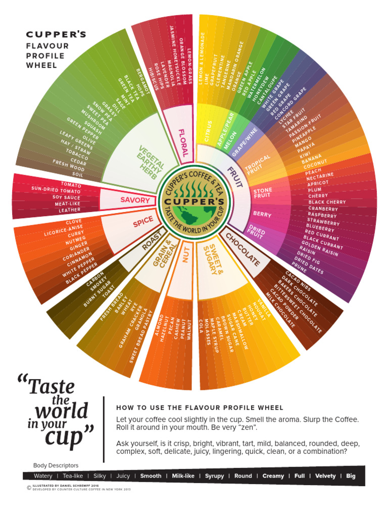 Coffee Flavor Profile Wheel Guide | PDF