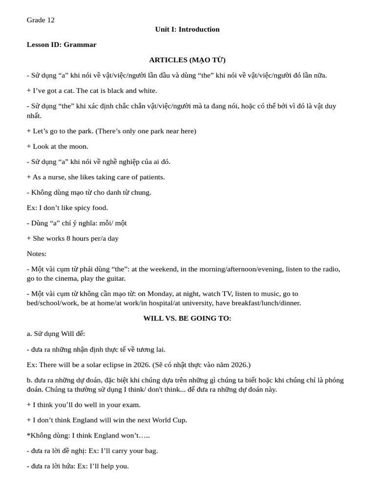 G 11 - Unit I-Lesson 4 - D. Grammar | PDF