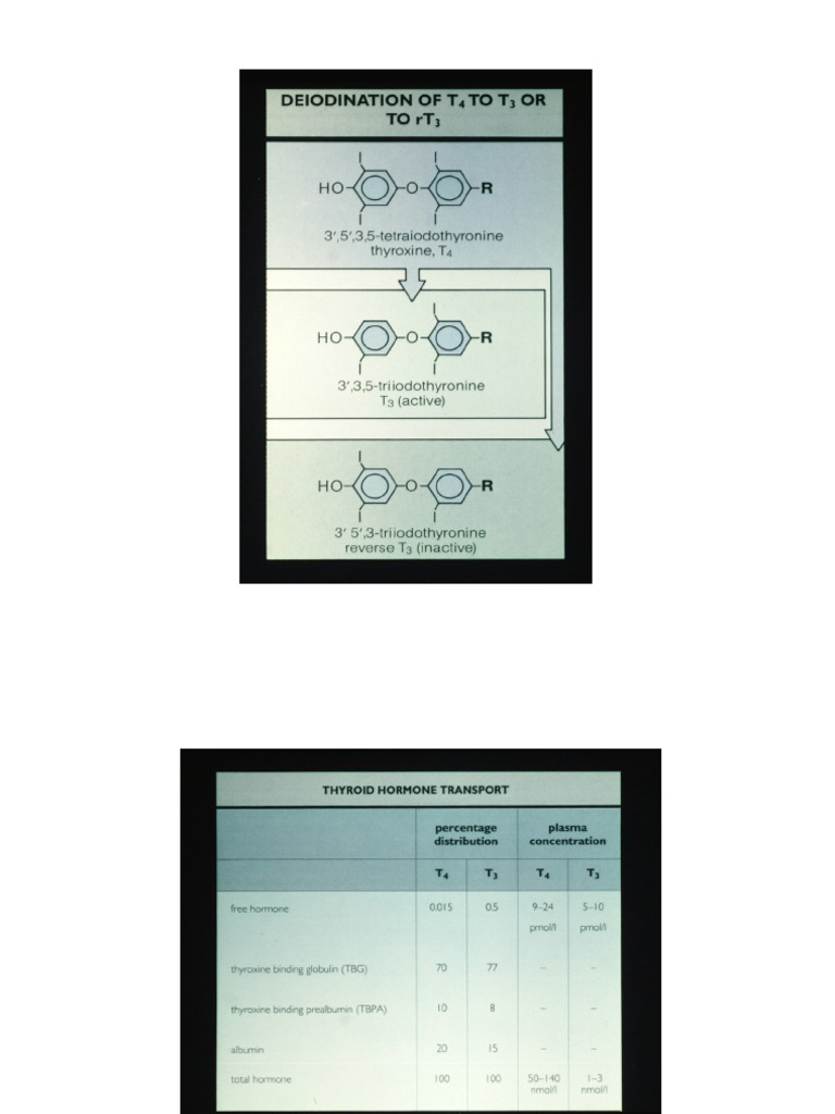 Thyroid Physiology Pdf