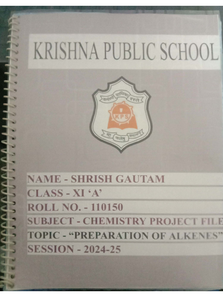 Chemistry Project File On Alkenes Class 11 | PDF
