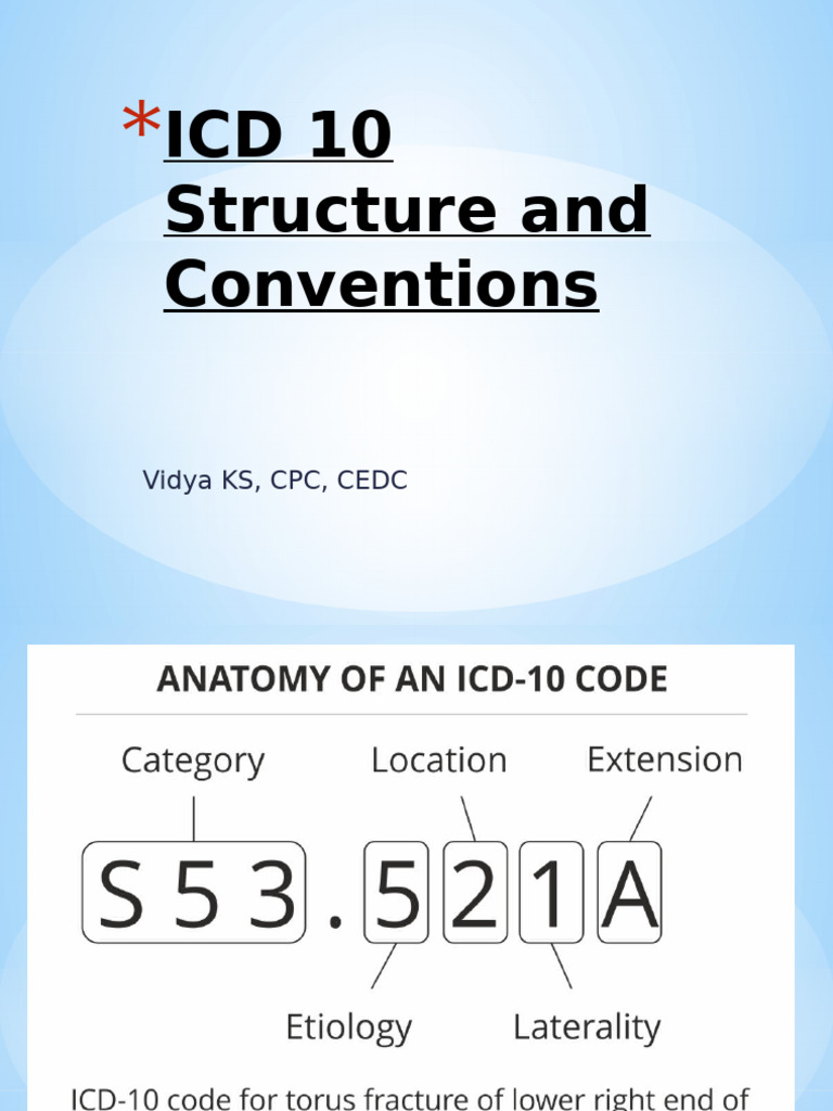 ICD Structure and Conventions | PDF