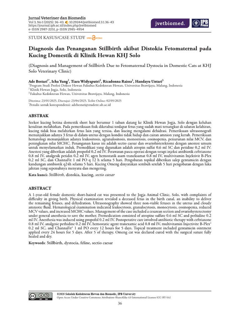 Diagnosis Distokia dan Stillbirth Kucing | PDF