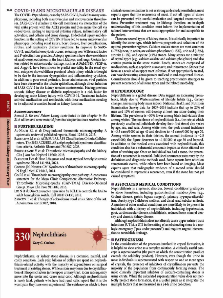 nephrolithiasis | PDF | Medical Imaging | Medical Specialties