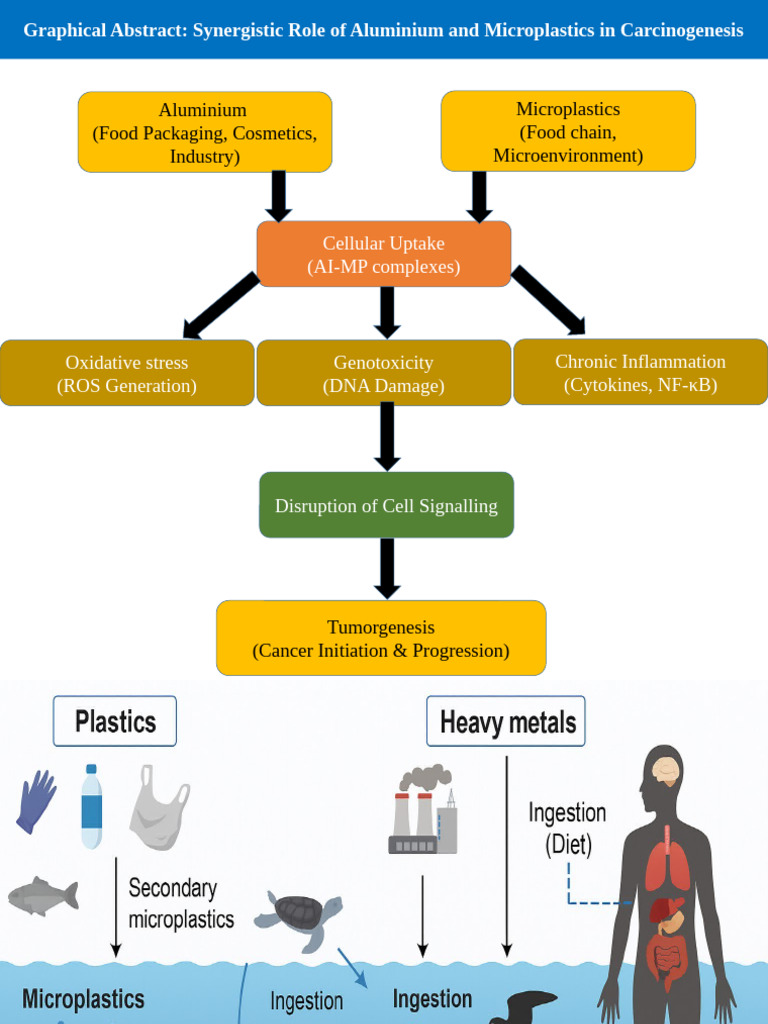 Graphical Abstract | PDF