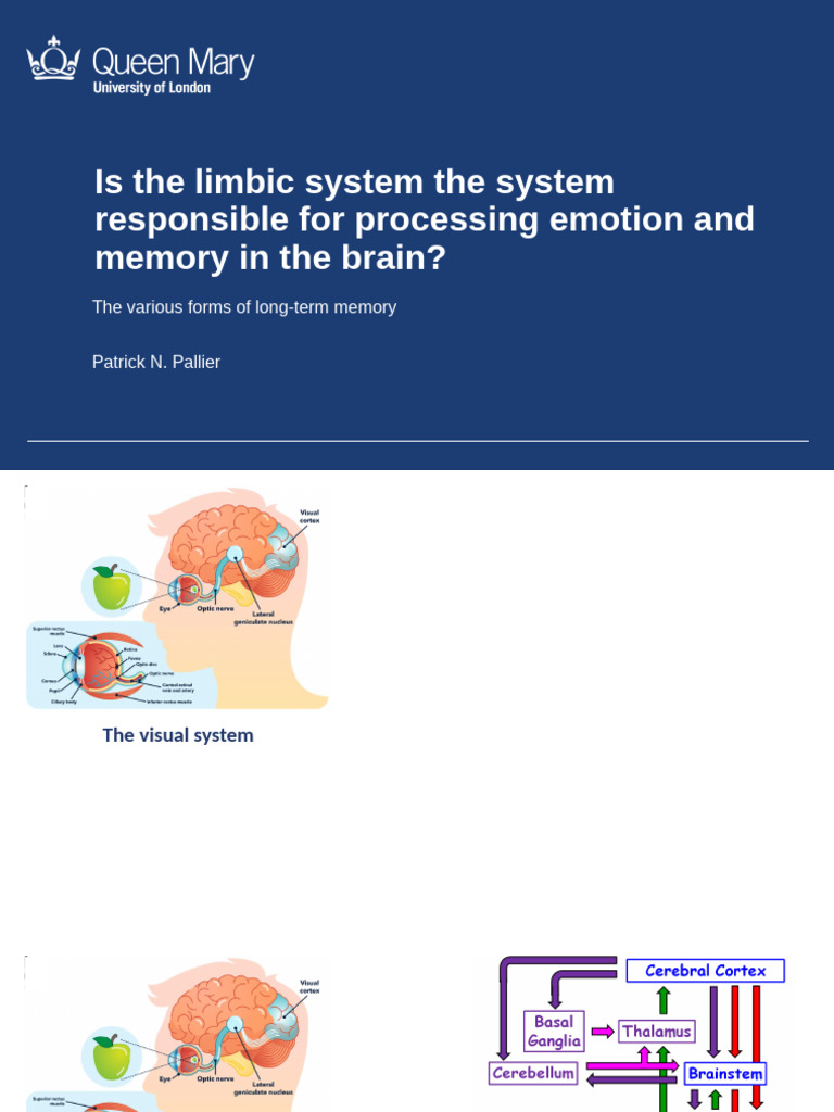 Is The Limbic System Involved in Emotion and Memory - For Students | PDF | Memory | Priming ...