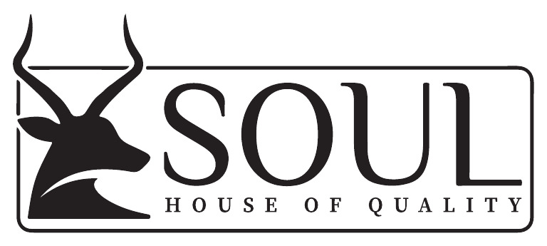 Soul Logo | PDF