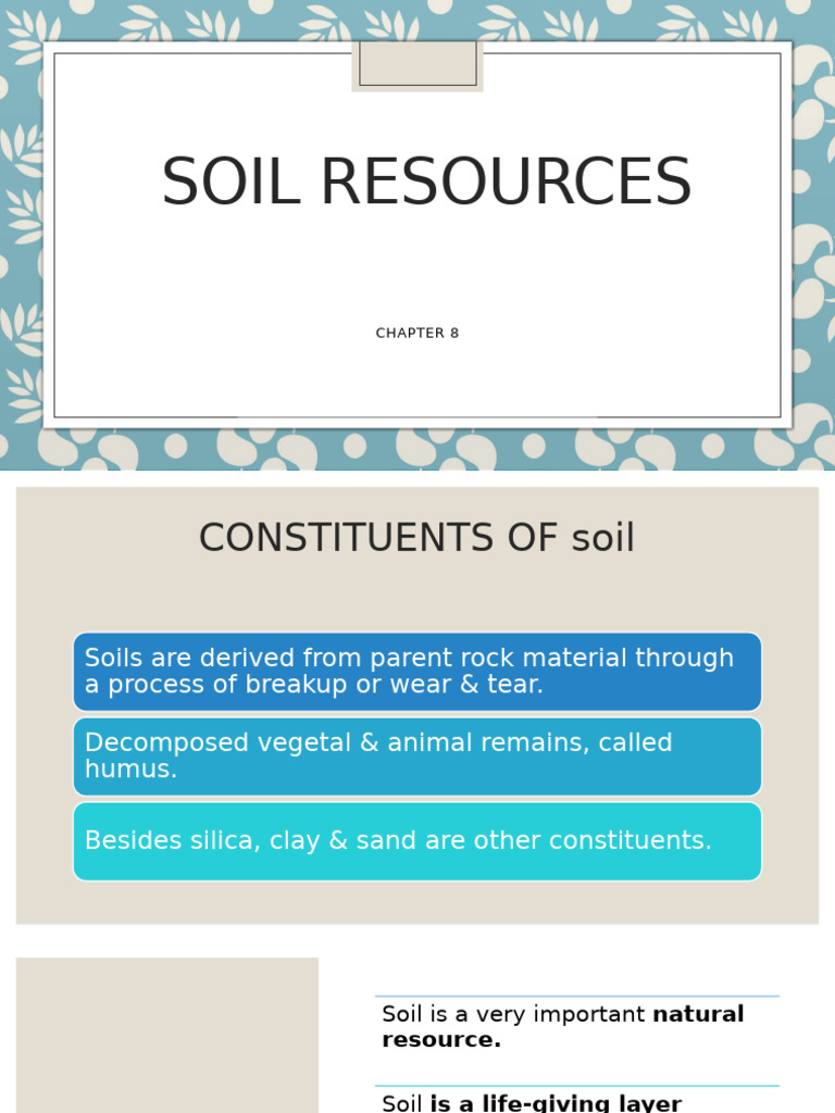 10 Geography Chapter - 8, Soil Resources | PDF | Soil | Soil Fertility